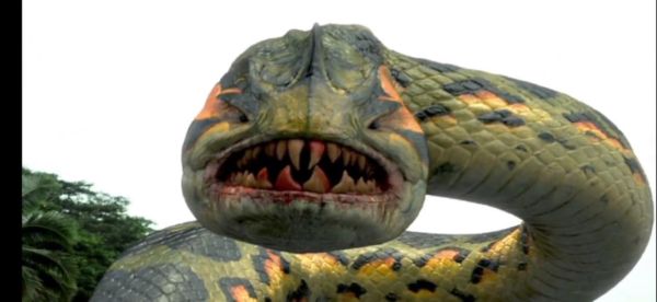 蛇鱼怪图片_蛇鱼怪长什么样-第1张图片-山城妙识