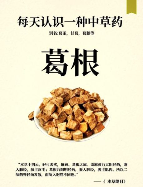 葛根图片多少钱一斤_葛根价格影响因素-第1张图片-山城妙识