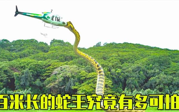 蛇鱼怪图片_蛇鱼怪长什么样-第3张图片-山城妙识