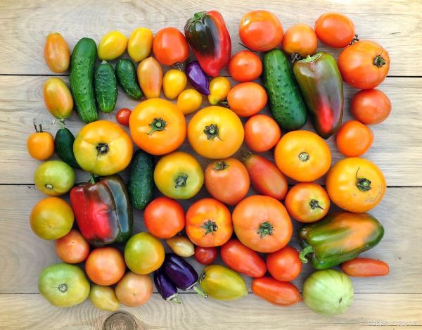 what_are_the_most_popular_dessert_names_in_english-第3张图片-山城妙识