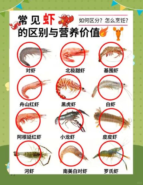 长脚虾怎么养_长脚虾吃什么-第1张图片-山城妙识