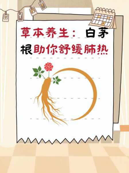 白茅根治尿毒症是真的吗_白茅根用量与禁忌-第3张图片-山城妙识