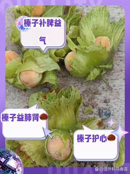 新鲜榛子的功效与作用_新鲜榛子怎么吃最好-第1张图片-山城妙识