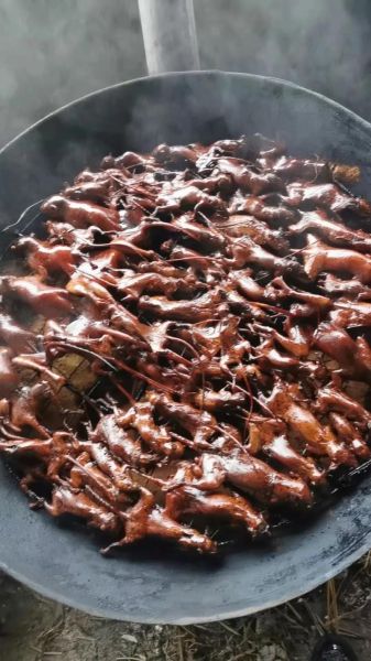 老鼠干是哪里的特产_老鼠干怎么做好吃-第1张图片-山城妙识 老鼠干是哪里的特产_老鼠干怎么做好吃-第1张图片-山城妙识