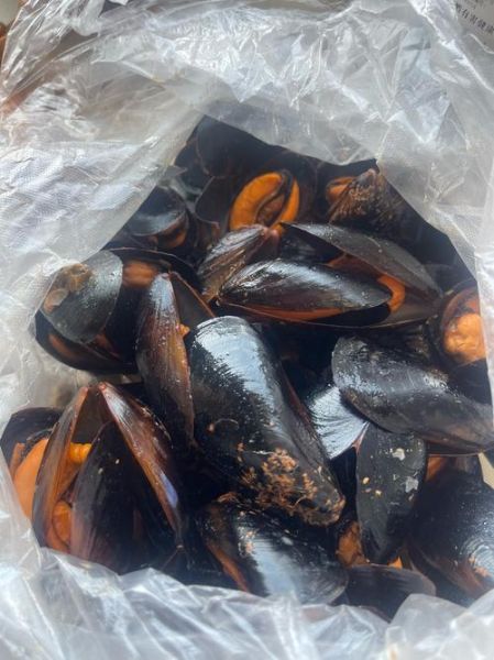 海虹怎么做好吃_海虹蒸还是煮更鲜美-第1张图片-山城妙识 海虹怎么做好吃_海虹蒸还是煮更鲜美-第1张图片-山城妙识