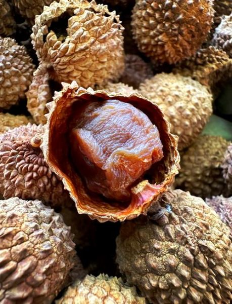 荔枝干怎么吃_荔枝干吃法大全-第2张图片-山城妙识 荔枝干怎么吃_荔枝干吃法大全-第2张图片-山城妙识