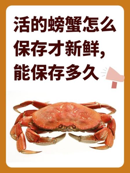 河蟹在家怎么养_河蟹能活多久-第2张图片-山城妙识