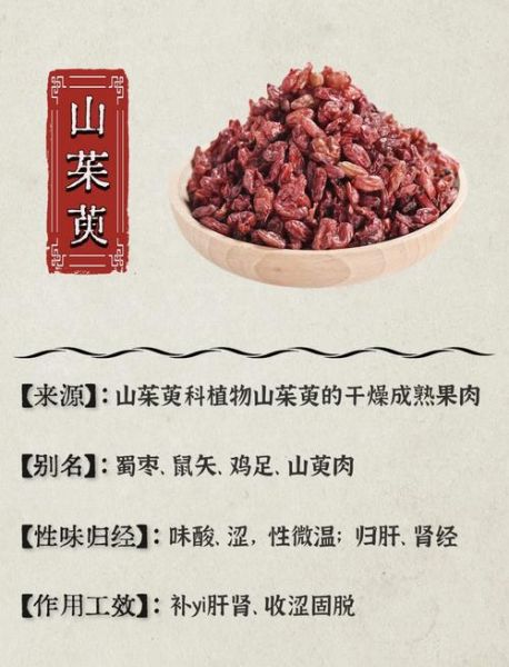 山萸肉的功效与作用_山萸肉的禁忌有哪些-第1张图片-山城妙识 山萸肉的功效与作用_山萸肉的禁忌有哪些-第1张图片-山城妙识