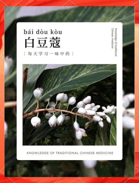 白豆蔻的功效与作用_白豆蔻怎么吃效果好-第1张图片-山城妙识 白豆蔻的功效与作用_白豆蔻怎么吃效果好-第1张图片-山城妙识