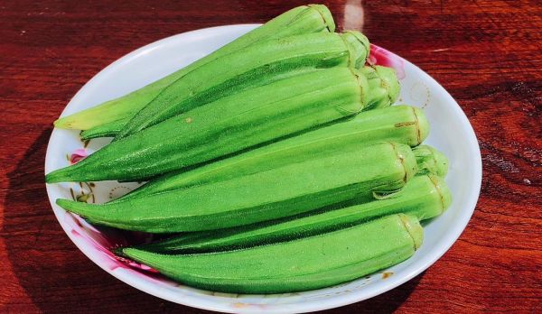 秋葵图片大全大图_秋葵高清图片怎么拍-第1张图片-山城妙识