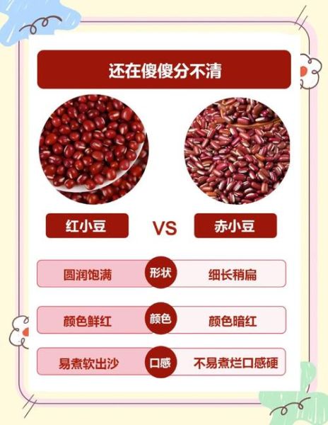 红豆和红小豆是一种豆吗_区别与功效全解析-第1张图片-山城妙识