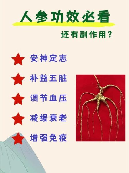 人参的功效与作用禁忌_适合哪些人吃-第3张图片-山城妙识