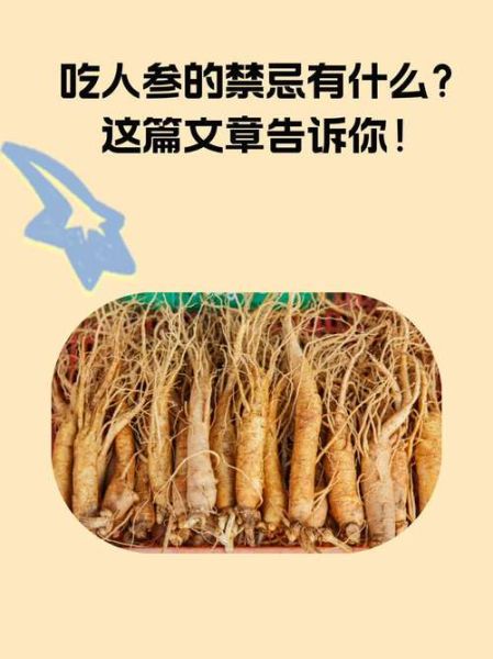 人参的功效与作用禁忌_适合哪些人吃-第2张图片-山城妙识