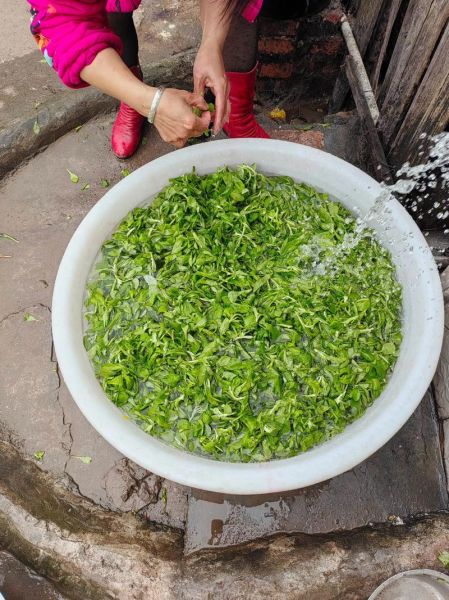 清明粑粑怎么做_清明粑粑用什么叶子最香-第1张图片-山城妙识 清明粑粑怎么做_清明粑粑用什么叶子最香-第1张图片-山城妙识