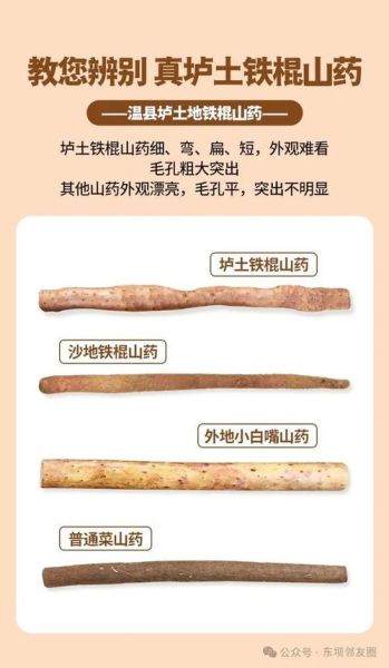 铁棍山药的功效与作用_坚持吃一年有什么变化-第2张图片-山城妙识
