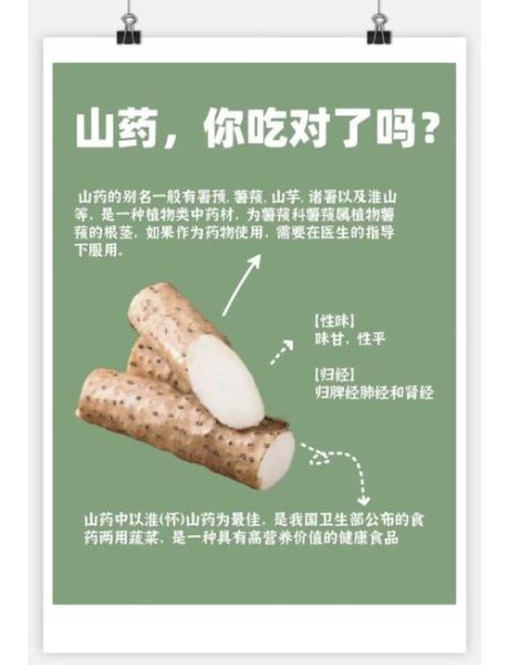 铁棍山药的功效与作用_坚持吃一年有什么变化-第3张图片-山城妙识