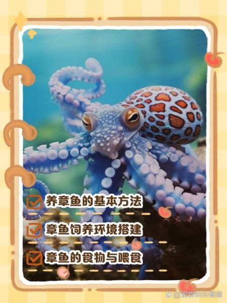 章鱼怎么养_章鱼吃什么食物-第2张图片-山城妙识 章鱼怎么养_章鱼吃什么食物-第2张图片-山城妙识