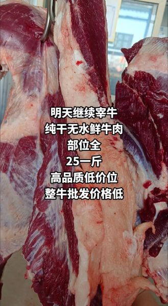 牛肉批发多少钱一斤_批发价受哪些因素影响-第1张图片-山城妙识