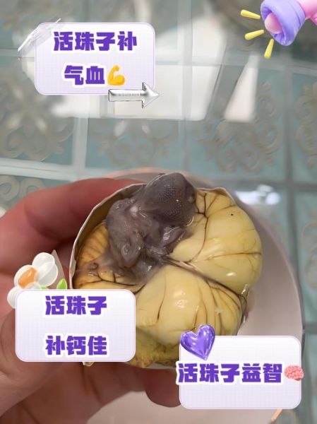 女性吃活珠子有什么好处_活珠子对女性的功效-第2张图片-山城妙识