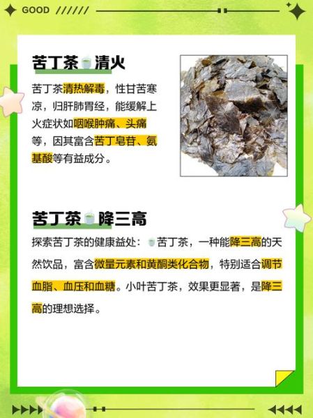 苦丁茶的功效与作用_苦丁茶的禁忌有哪些-第1张图片-山城妙识
