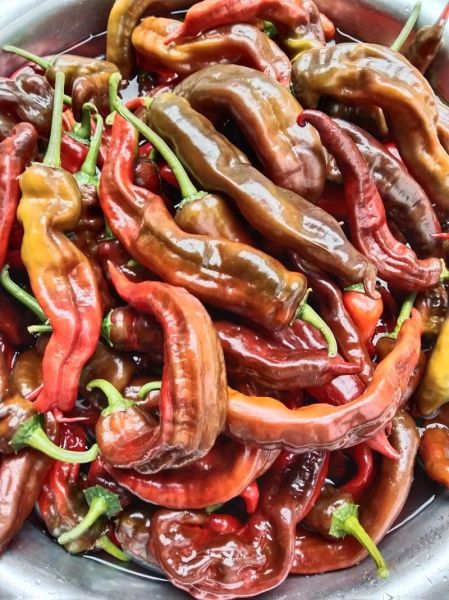 四川青辣椒酱怎么做_青辣椒酱保存多久-第2张图片-山城妙识