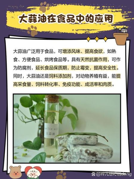 大蒜油适合什么人吃_大蒜油的功效与禁忌-第1张图片-山城妙识 大蒜油适合什么人吃_大蒜油的功效与禁忌-第1张图片-山城妙识