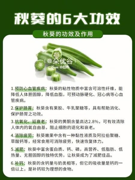 秋葵的功效与作用_秋葵是药材吗-第1张图片-山城妙识 秋葵的功效与作用_秋葵是药材吗-第1张图片-山城妙识