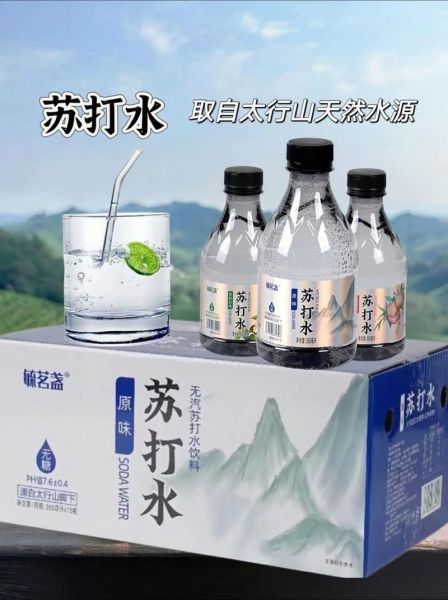一天喝多少苏打水为好_苏打水一天喝多少合适-第3张图片-山城妙识