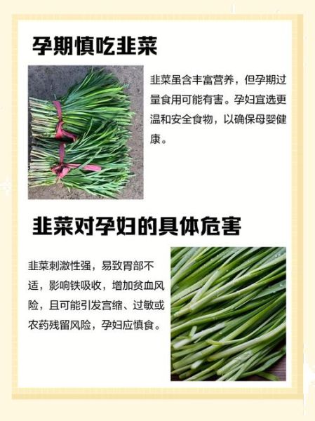 怀孕初期能吃韭菜吗_孕妇吃韭菜对胎儿有影响吗-第1张图片-山城妙识