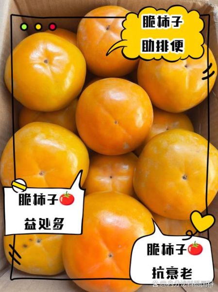 脆柿子营养价值_脆柿子功效与作用-第2张图片-山城妙识