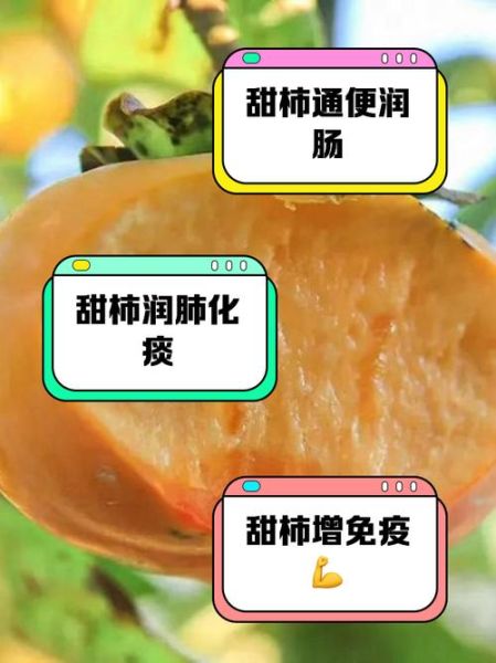 脆柿子营养价值_脆柿子功效与作用-第1张图片-山城妙识