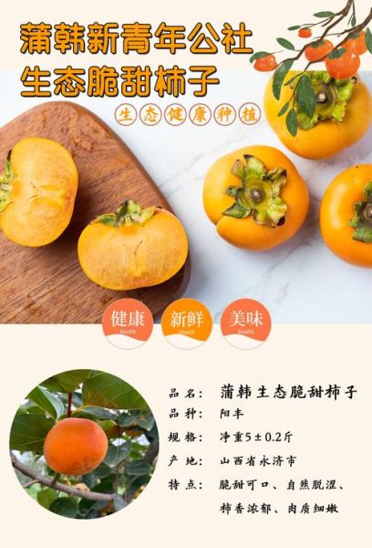 脆柿子营养价值_脆柿子功效与作用-第3张图片-山城妙识