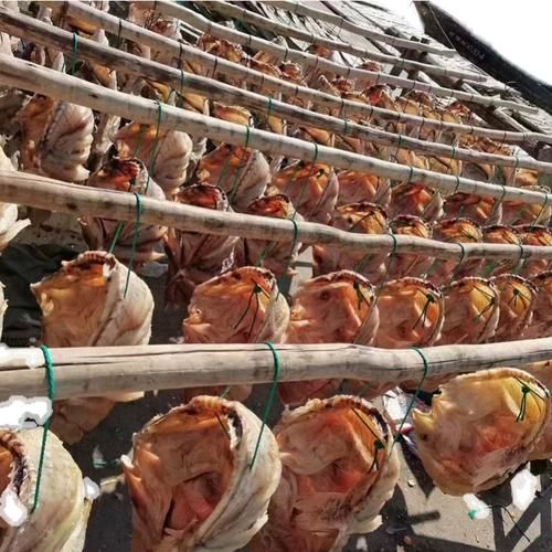 红鳍笛鲷多少钱一斤_红鳍笛鲷怎么做好吃-第3张图片-山城妙识