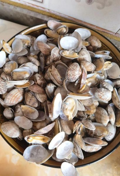 花甲怎么清洗_花甲图片怎么看新鲜-第2张图片-山城妙识