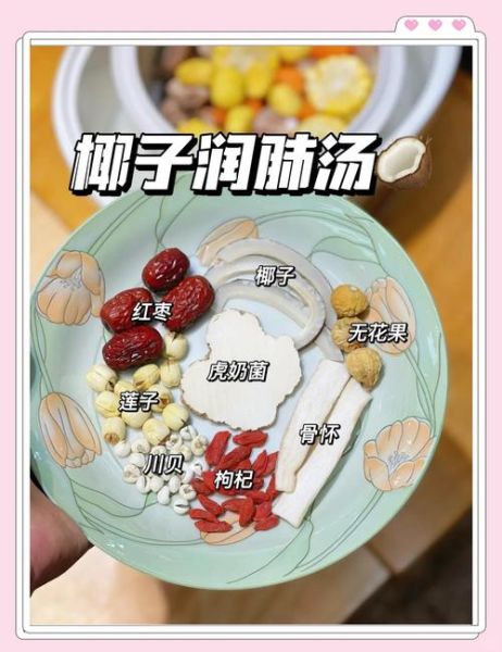 椰子汤的功效与作用_椰子汤适合什么人喝-第2张图片-山城妙识