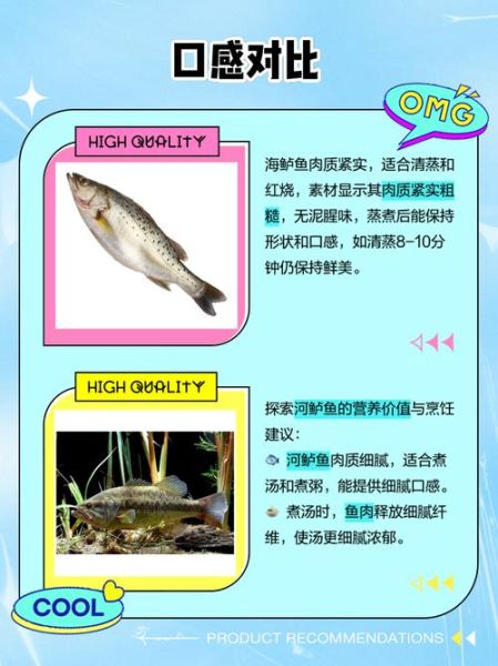 河鲈鱼和海鲈鱼哪个好_河鲈鱼和海鲈鱼营养区别-第1张图片-山城妙识