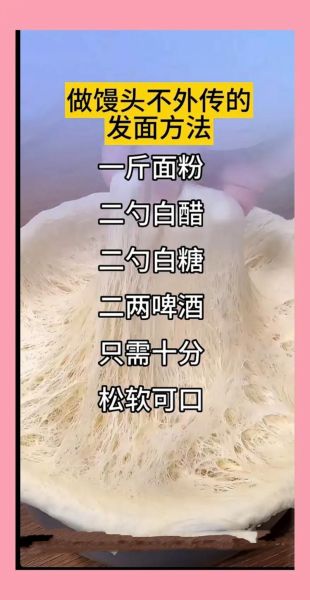 不用酵母粉怎么发面_快速发面的方法-第1张图片-山城妙识 不用酵母粉怎么发面_快速发面的方法-第1张图片-山城妙识