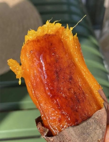 200度烤红薯多长时间_烤红薯最佳口感秘诀-第1张图片-山城妙识