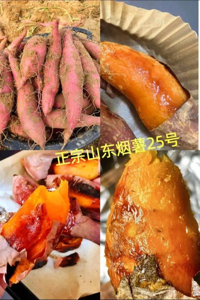 200度烤红薯多长时间_烤红薯最佳口感秘诀-第2张图片-山城妙识
