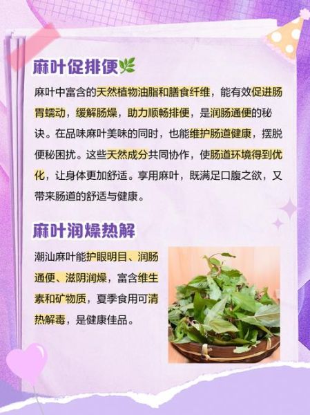 潮汕麻叶是什么叶子_潮汕麻叶怎么吃-第2张图片-山城妙识 潮汕麻叶是什么叶子_潮汕麻叶怎么吃-第2张图片-山城妙识