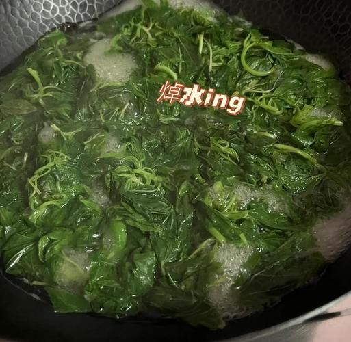 潮汕麻叶是什么叶子_潮汕麻叶怎么吃-第3张图片-山城妙识 潮汕麻叶是什么叶子_潮汕麻叶怎么吃-第3张图片-山城妙识