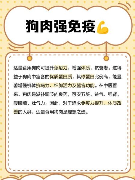 吃狗肉会影响运气吗_吃狗肉风水禁忌-第1张图片-山城妙识