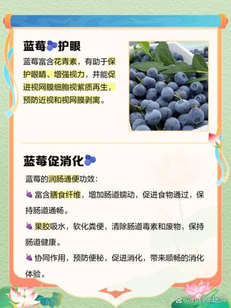 吃蓝莓对子宫卵巢好吗_女性妇科吃蓝莓的益处-第2张图片-山城妙识