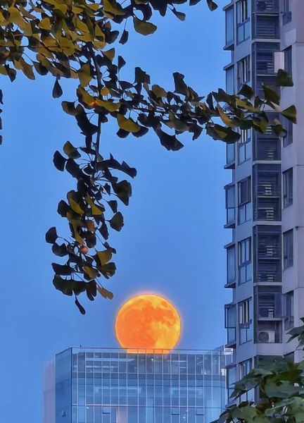 中秋最美月亮图片_如何拍摄-第1张图片-山城妙识