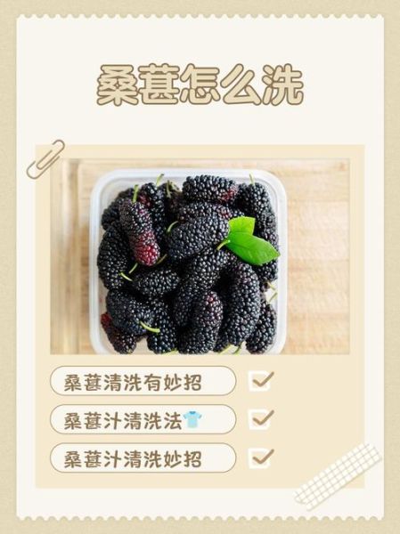 桑葚汁怎么洗掉_桑葚汁干了怎么洗-第2张图片-山城妙识 桑葚汁怎么洗掉_桑葚汁干了怎么洗-第2张图片-山城妙识