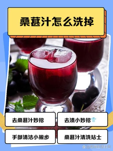 桑葚汁怎么洗掉_桑葚汁干了怎么洗-第1张图片-山城妙识 桑葚汁怎么洗掉_桑葚汁干了怎么洗-第1张图片-山城妙识
