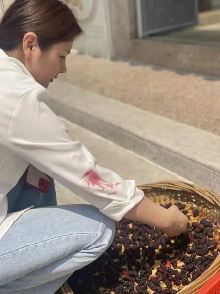 桑葚汁怎么洗掉_桑葚汁干了怎么洗-第3张图片-山城妙识 桑葚汁怎么洗掉_桑葚汁干了怎么洗-第3张图片-山城妙识