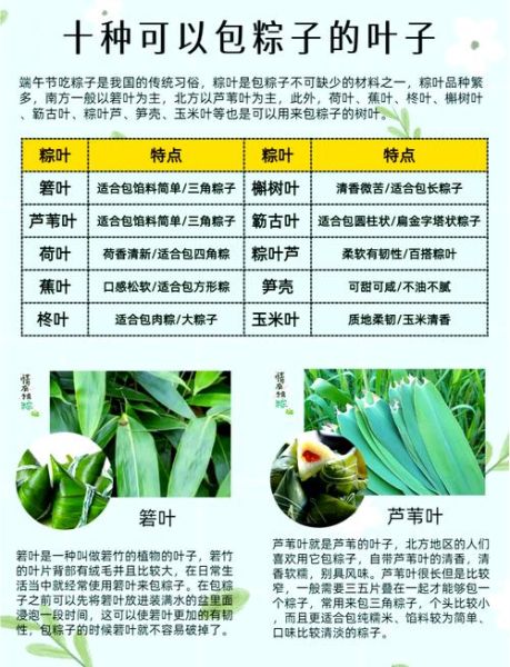 包粽子用什么叶子好吃_粽叶怎么选才香-第1张图片-山城妙识 包粽子用什么叶子好吃_粽叶怎么选才香-第1张图片-山城妙识