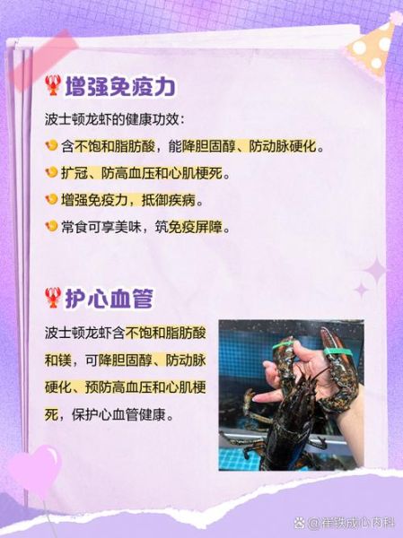 波士顿龙虾的营养价值_波士顿龙虾的功效与作用-第1张图片-山城妙识