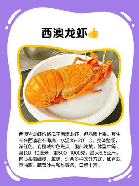 澳洲龙虾仔多少钱一斤_澳洲龙虾仔怎么做好吃-第3张图片-山城妙识 澳洲龙虾仔多少钱一斤_澳洲龙虾仔怎么做好吃-第3张图片-山城妙识